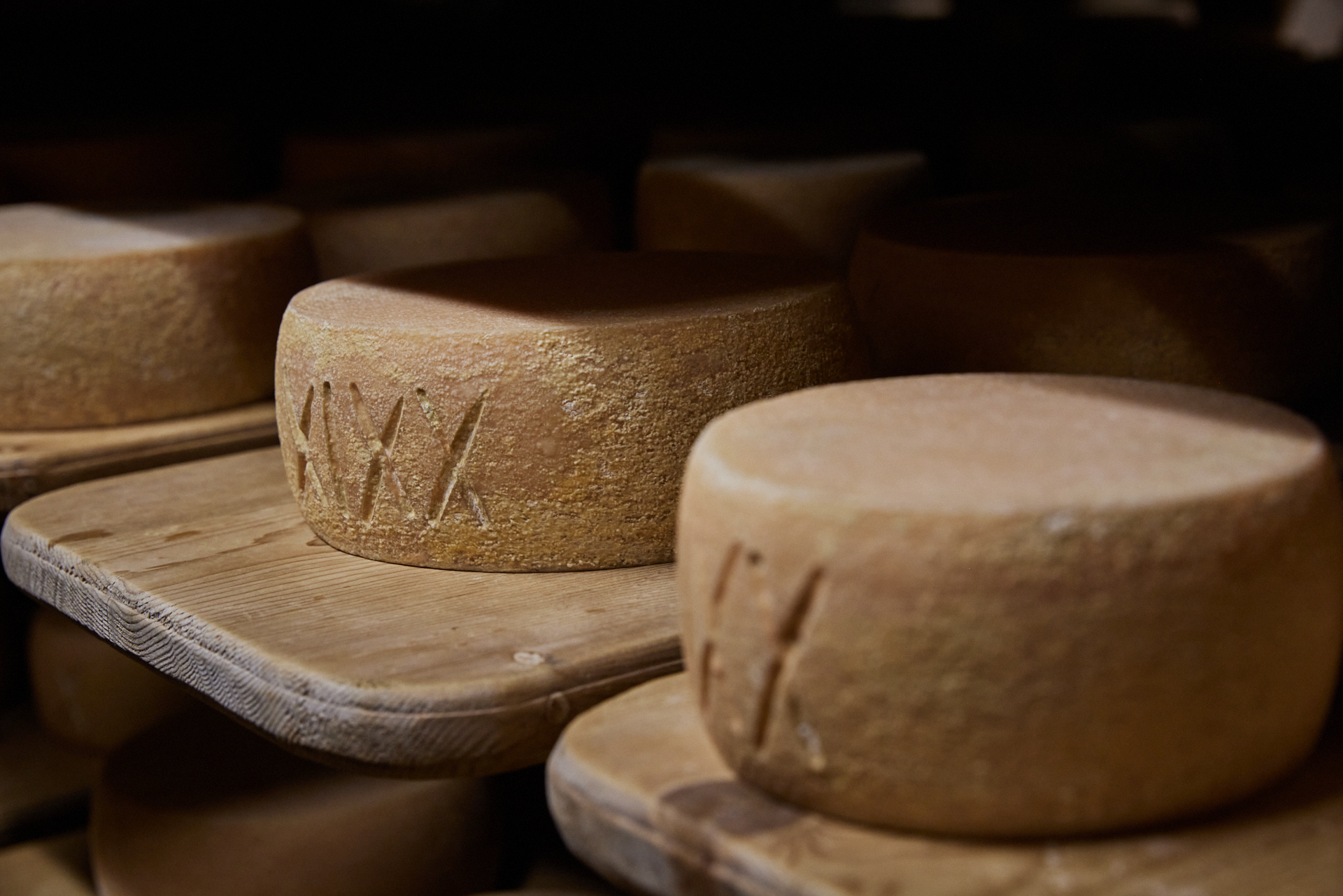 medelina - «culinarica» Kulinarik